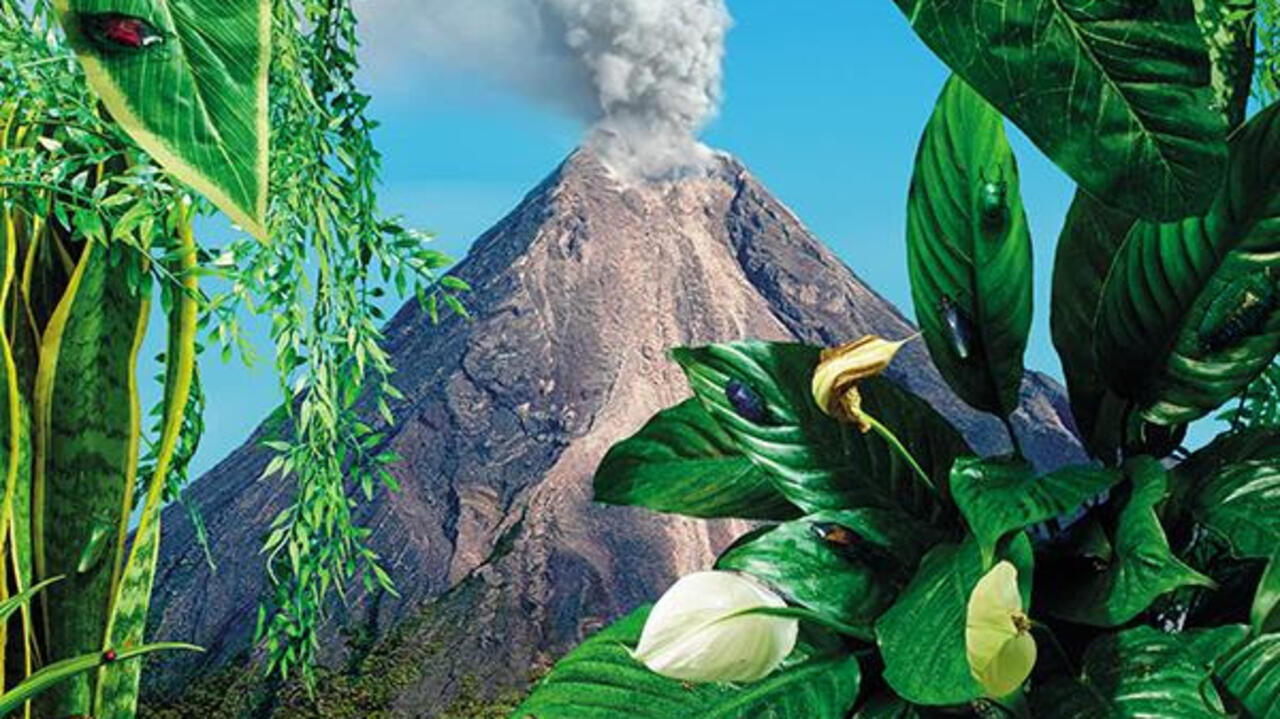 Electro star Zdar of French Cassius duo dies in window fall - RFI