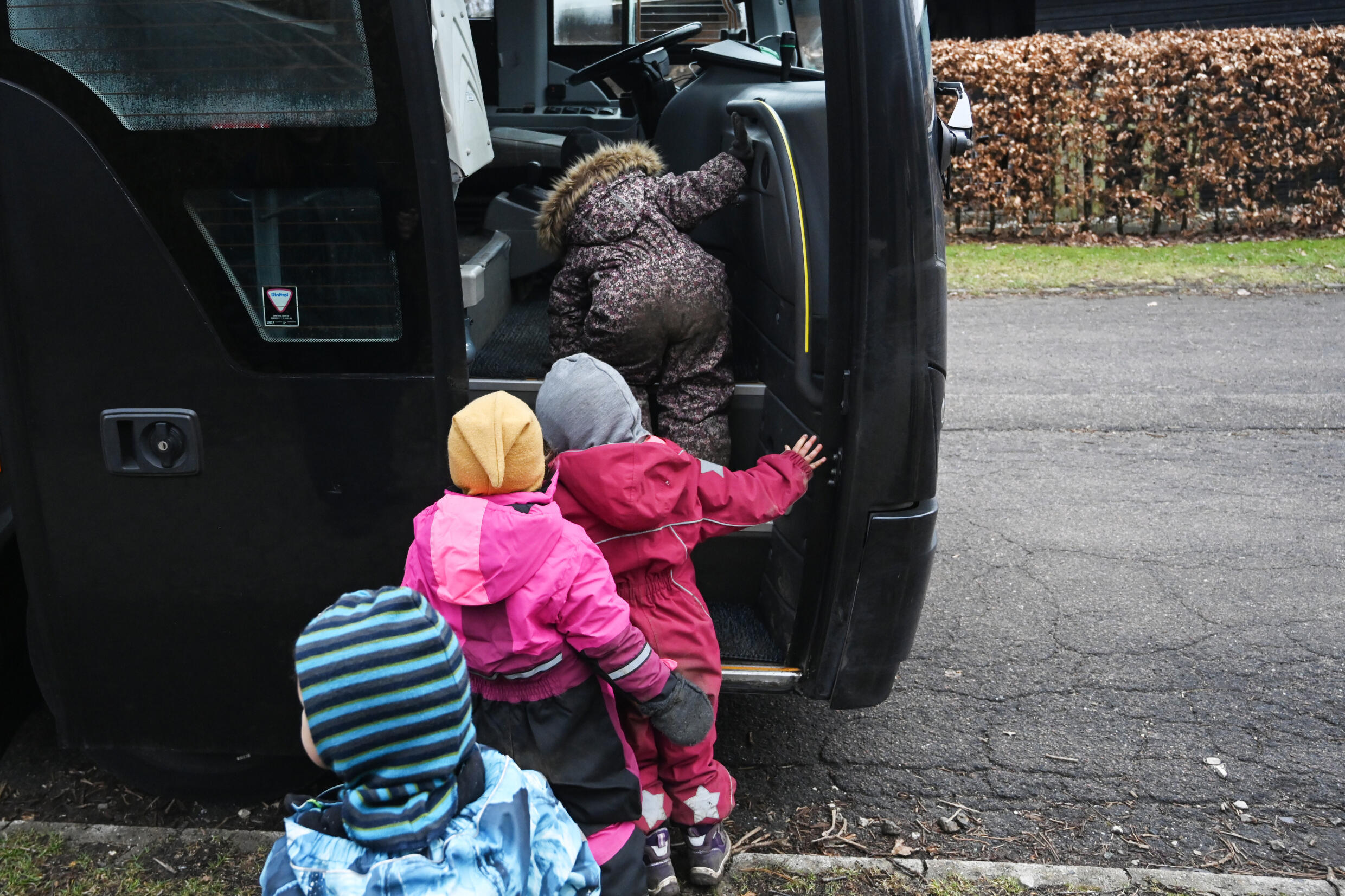 Wild education: the joy of Scandinavia's forest preschools
