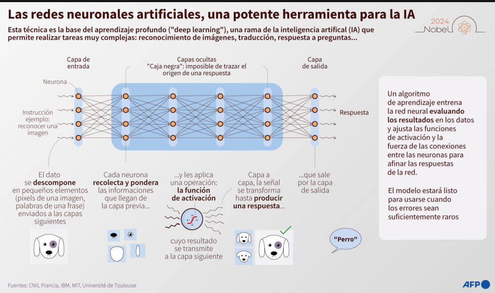 El Nobel de Física premia los avances en las redes neurológicas ...