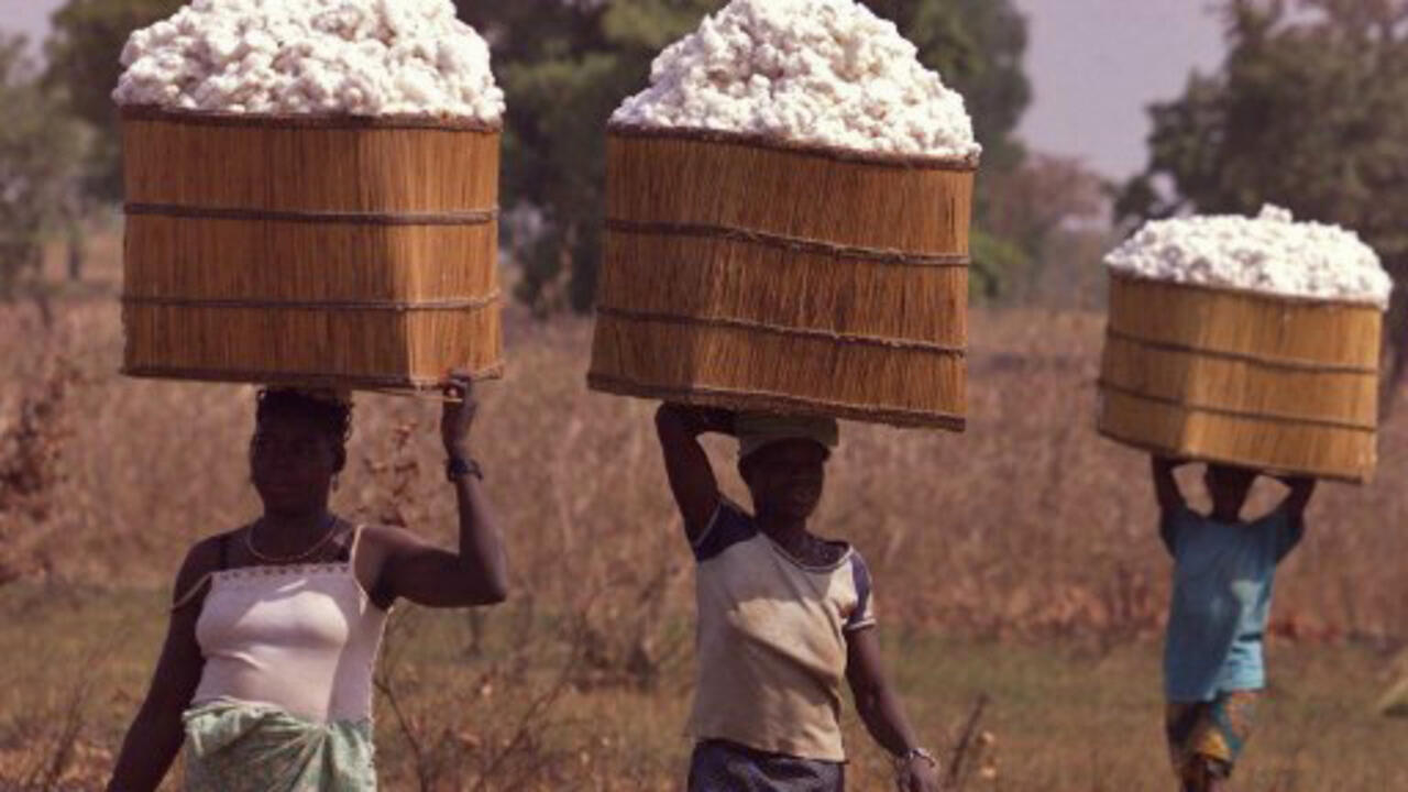 Les producteurs de coton en Afrique veulent transformer davantage ...