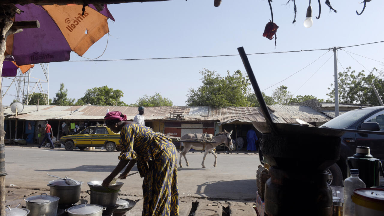 Le dibi haoussa, star de la «street-food» à Dakar - La vie ici