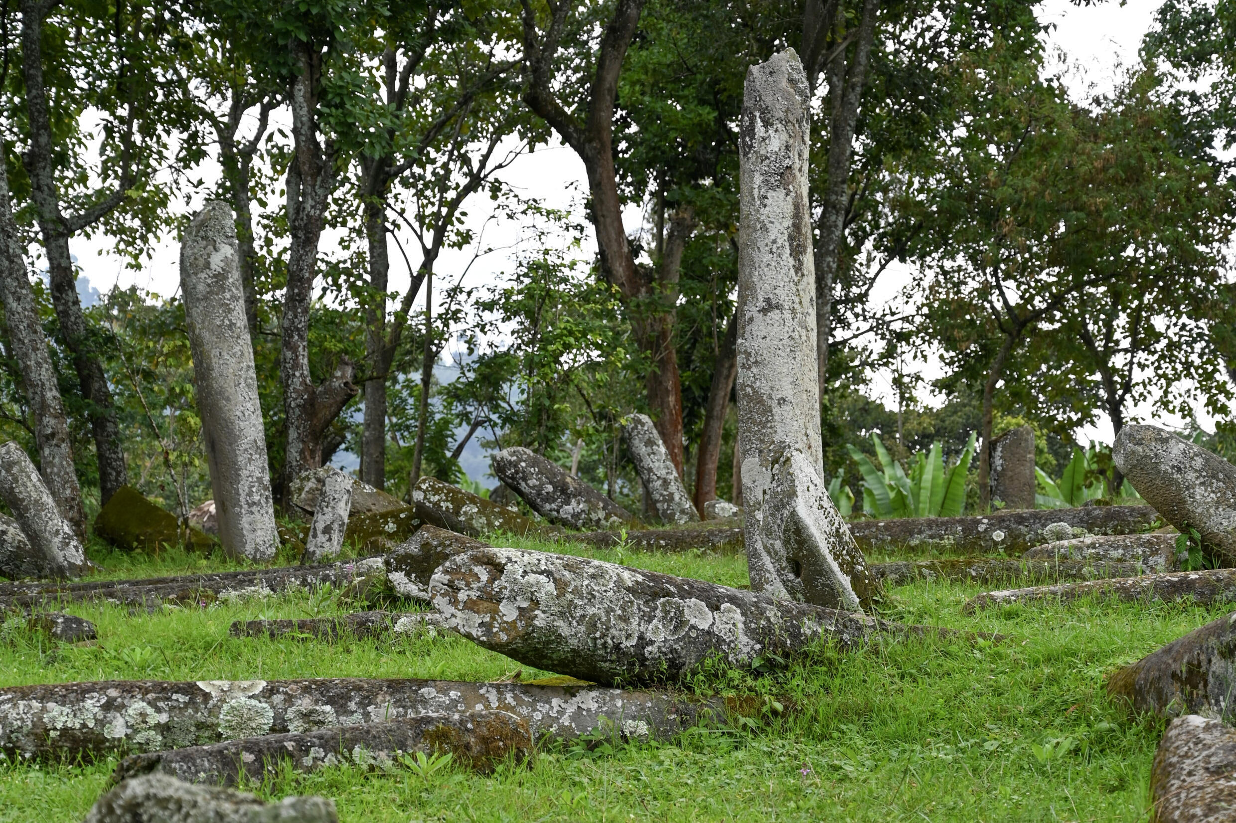 Culture africaine: les rendez-vous en juin 2024