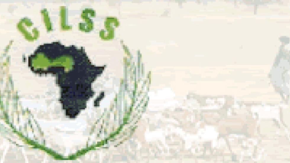 Les pays du Cilss décident la mise en place d'une coalition mondiale ...