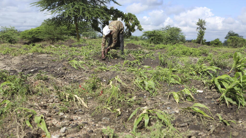 Kenya: Wanawake wanabaguliwa kwenye suala la haki ya kumiliki ardhi