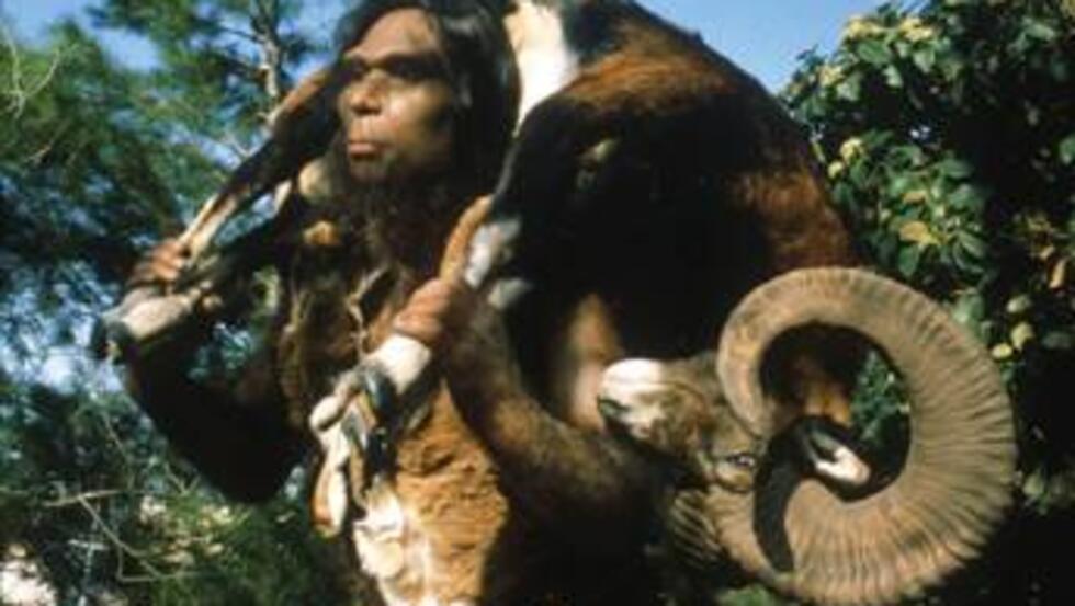 1. Qui sont les premiers hommes ? - Autour de la question, le magazine ...